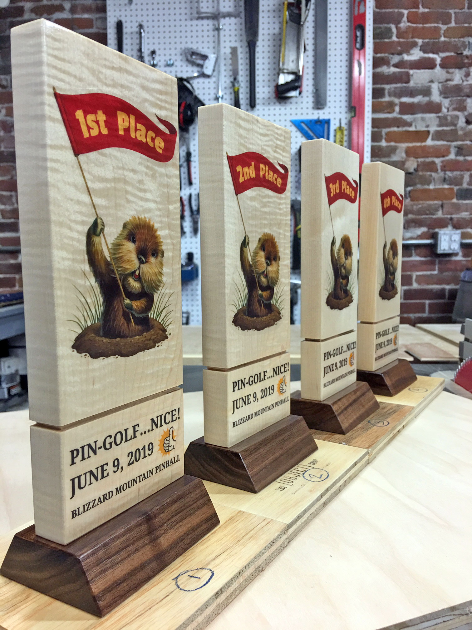 PinGolf…Nice! Holes and Objectives